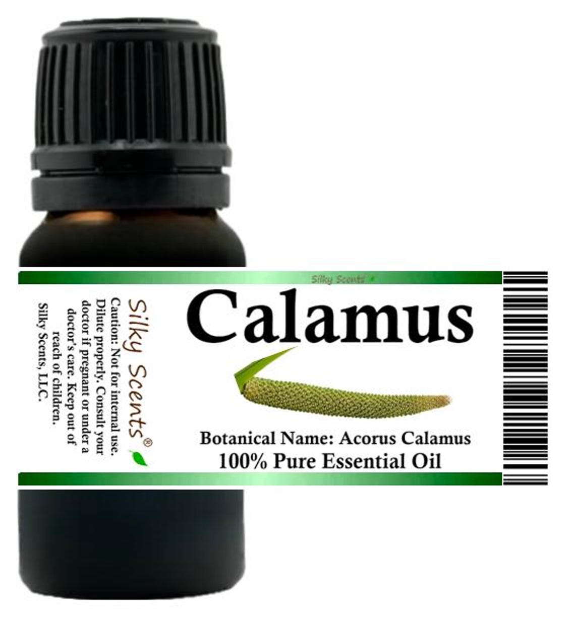 Silky Scents Calamus Essential Oil (acorus Calamus - Sweet Cane - Sweet ...