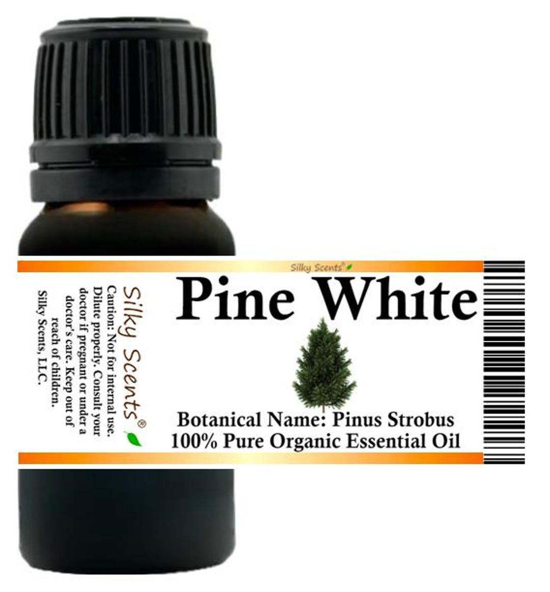 Silky Scents Pine White Organic Essential Oil (pinus Strobus) 100% Pure ...