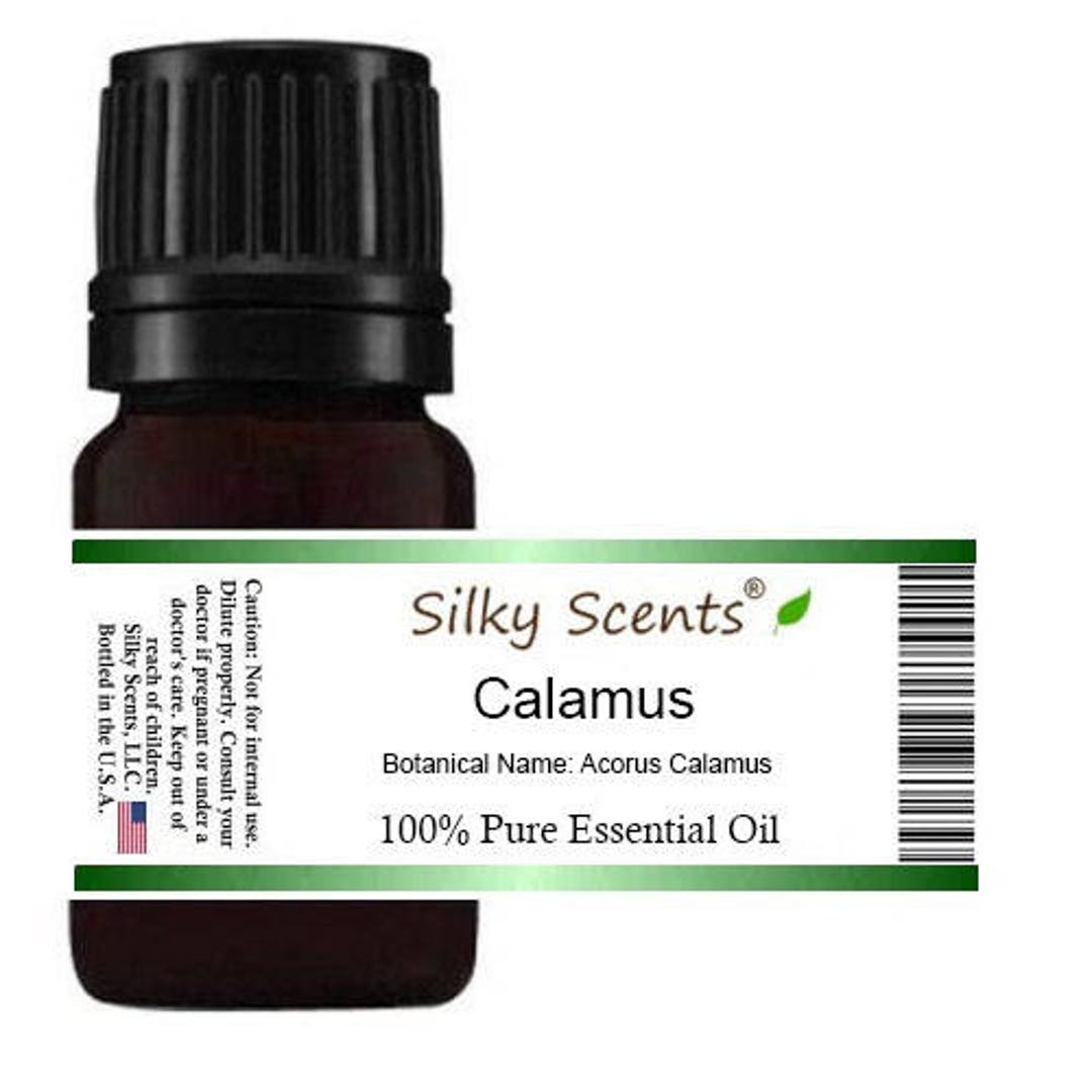 Silky Scents Calamus Essential Oil acorus Calamus Sweet Cane Sweet Flag ...