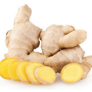 Ginger Essential Oil zingiber Officinale 100% Pure and Natural - Etsy