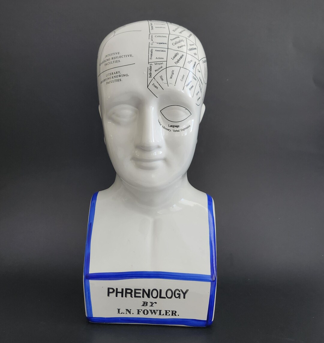 Vintage Large Phrenology Head Status, White Porcelain Phrenology Bust ...