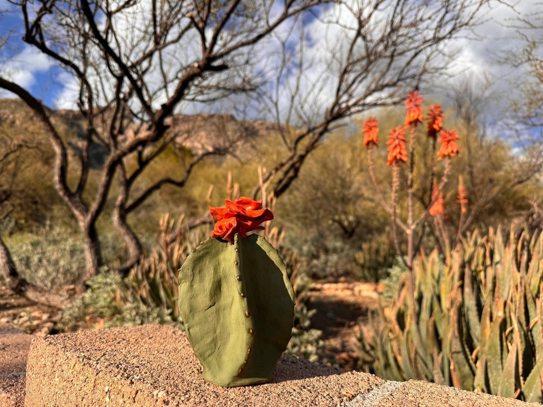 Clover the Candelabra Cactus Handformed Pottery Cactus Ceramic Cactus ...
