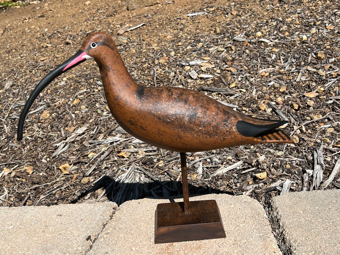 Sickle Billed Curlew Shorebird Hunting Decoy by Stan Vath - Etsy