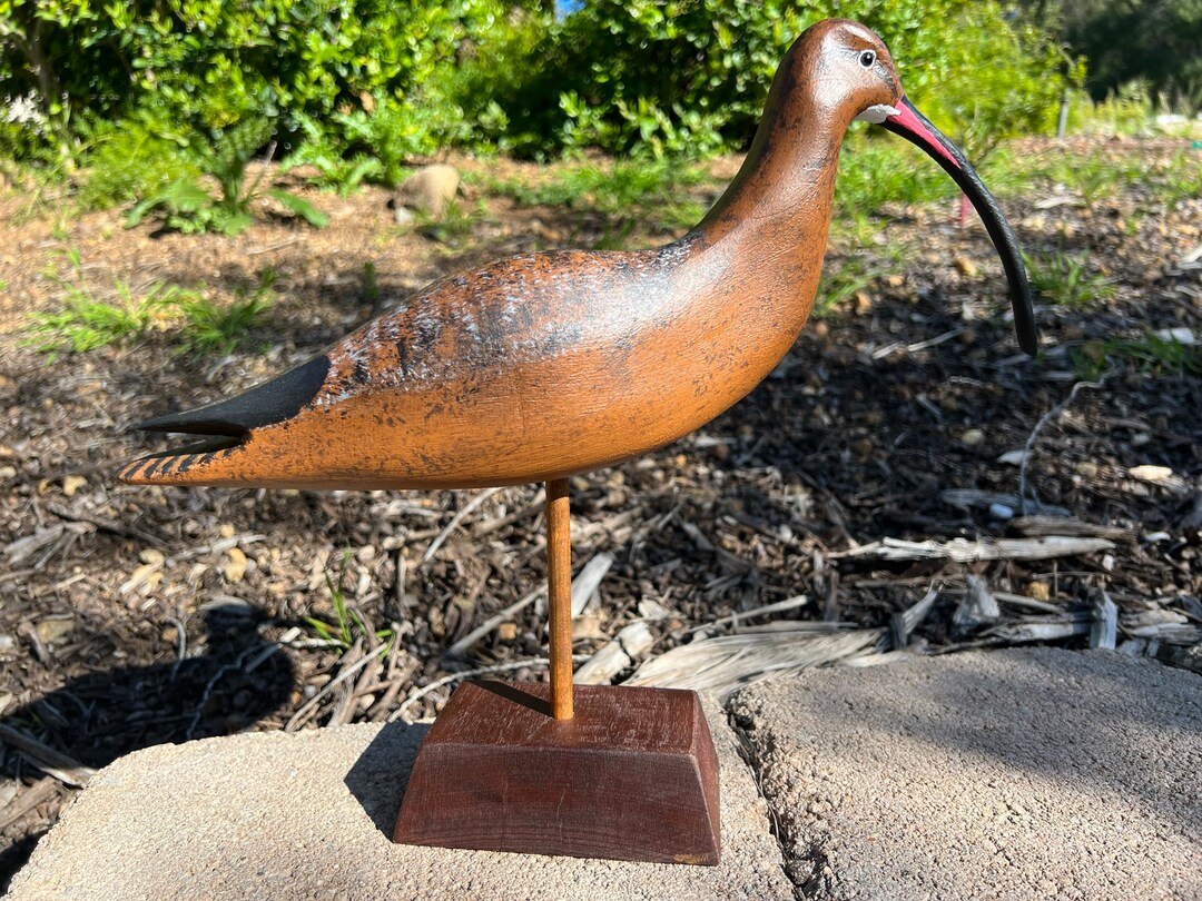 Sickle Billed Curlew Shorebird Hunting Decoy by Stan Vath - Etsy