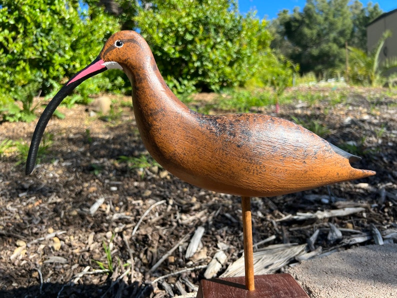 Sickle Billed Curlew Shorebird Hunting Decoy by Stan Vath - Etsy