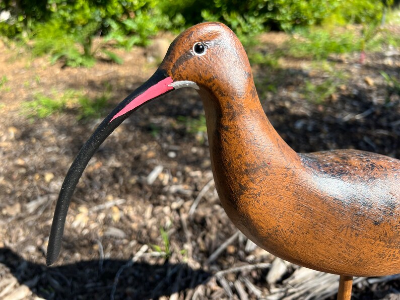 Sickle Billed Curlew Shorebird Hunting Decoy by Stan Vath - Etsy