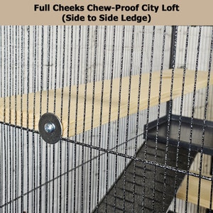 Full Length Cage Ledges for Full Cheeks Chew Proof City Loft Cage Kiln ...