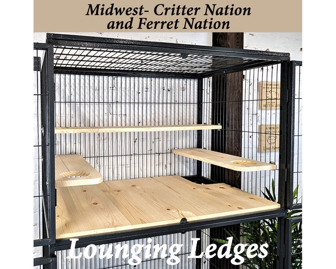 Critter/ferret Nation Cage Lounging Ledges: Kiln Dried Pine, Leaping ...