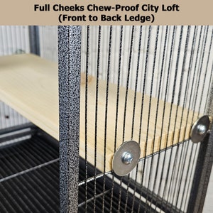 Full Length Cage Ledges for Full Cheeks Chew Proof City Loft Cage Kiln ...