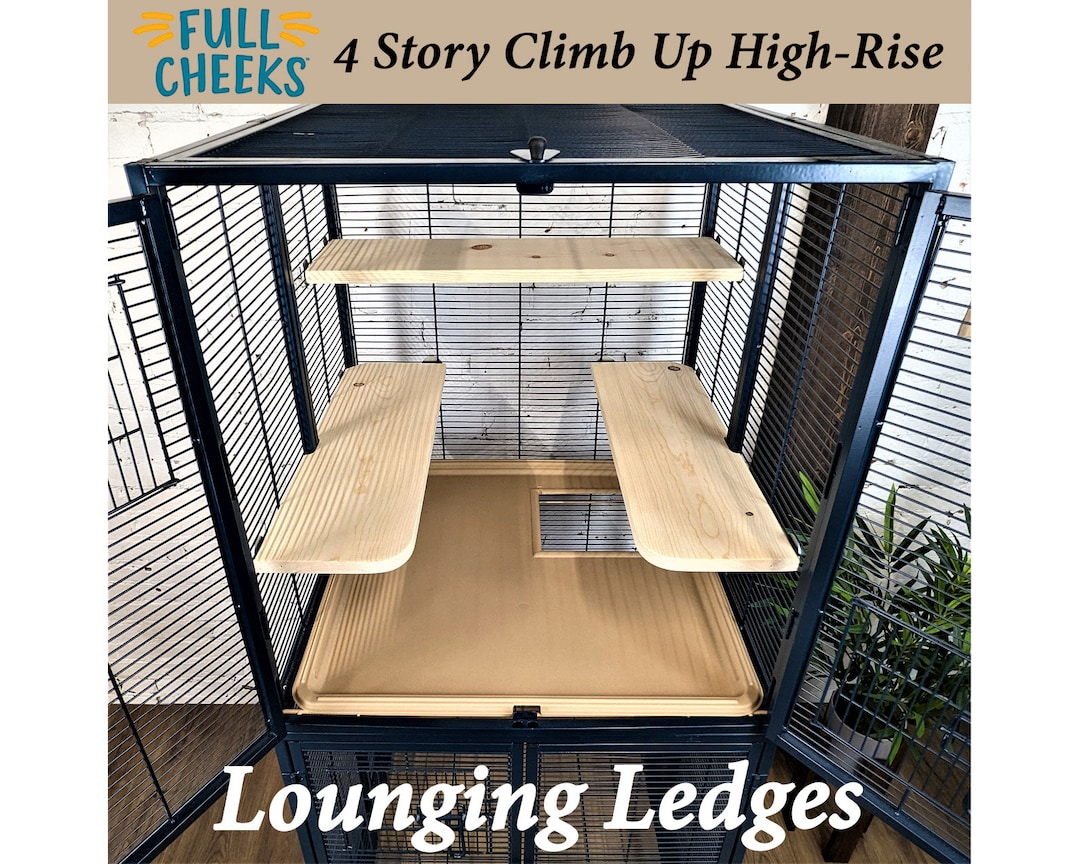 Set of 3 Lounging Ledges for Full Cheeks 4 Story Climb up High Rise ...