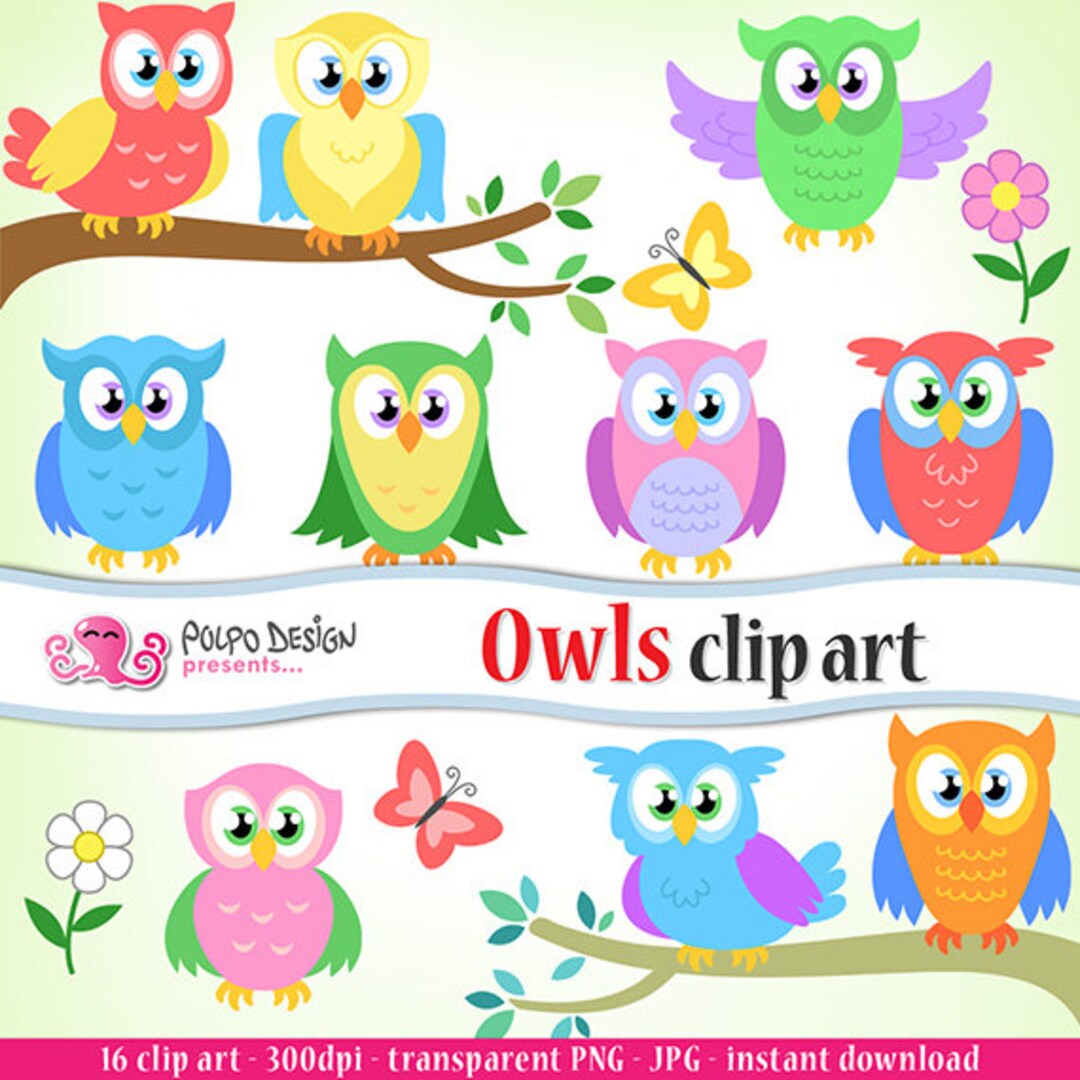 Owls Clip Art. Commercial & Personal Use. Instant Download. Bright ...