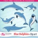 Blue Dolphins clipart. Dolphin clipart dolphin clip art | Etsy