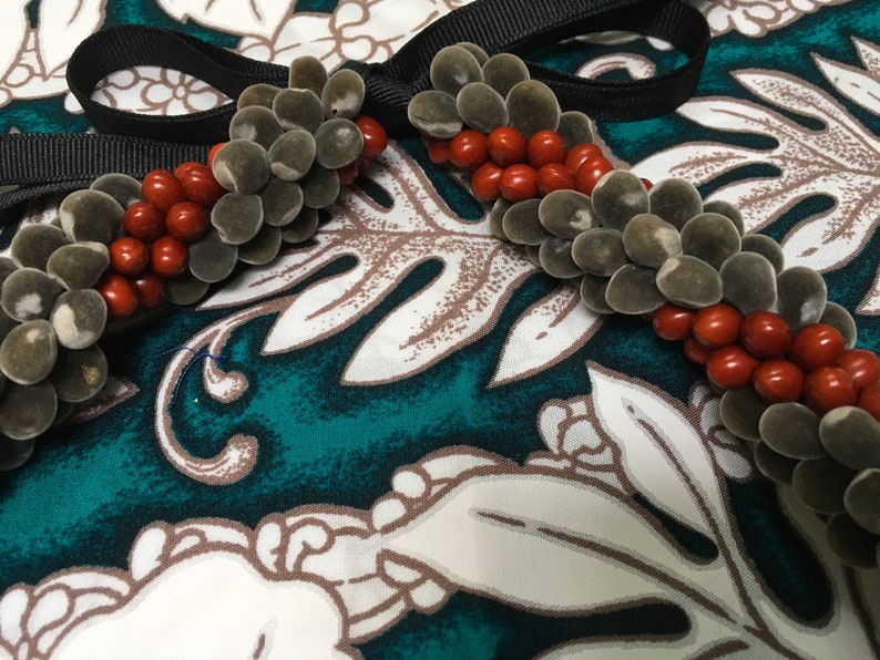 Wiliwili ~ Mgambo Seed Lei - Etsy