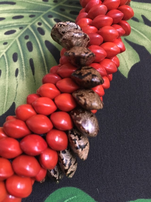Hawaiian Ula'ula Turtleback Seed Lei | Etsy