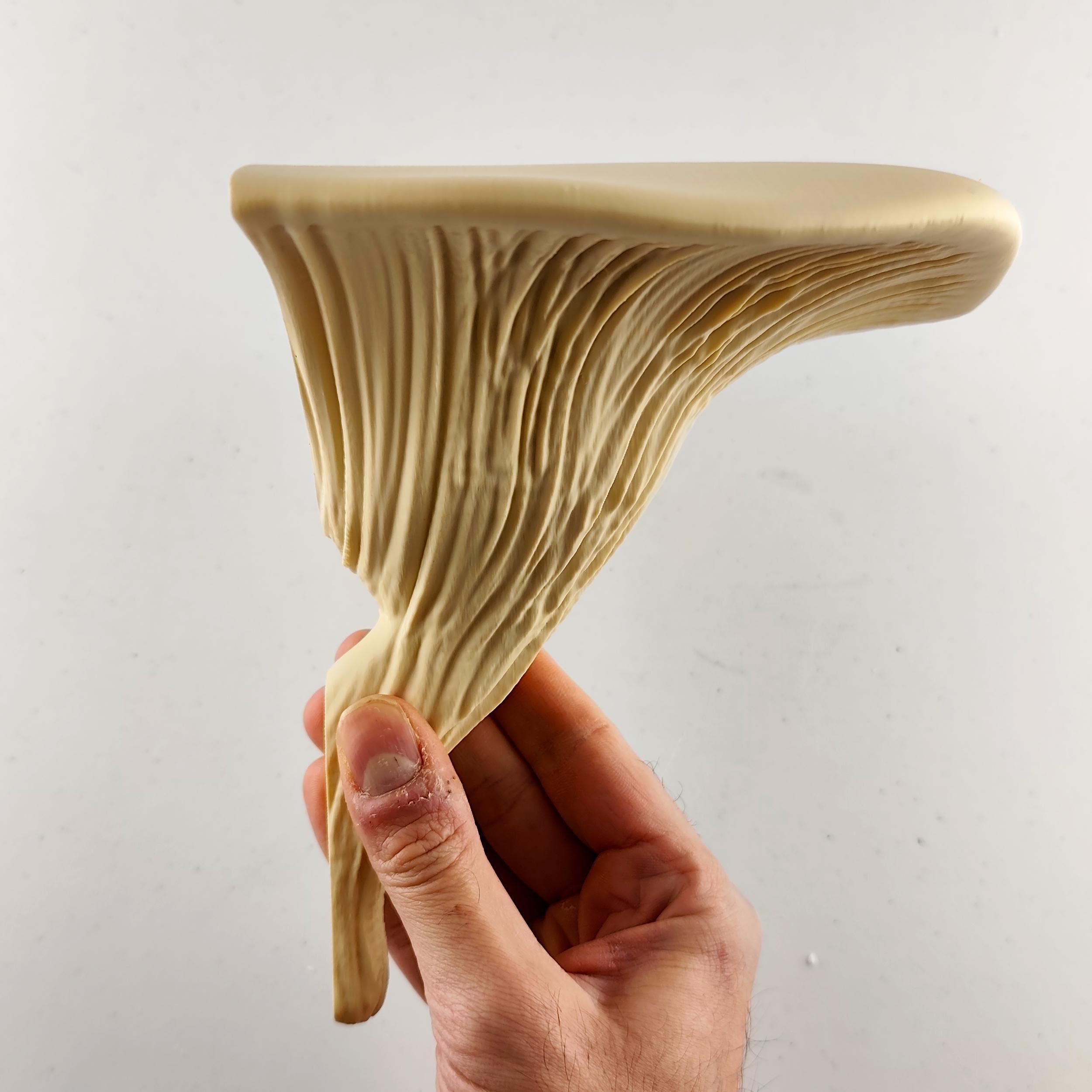3D Printed Mushroom Shelf | Modern Floating Wall Shelf | Deadly ...