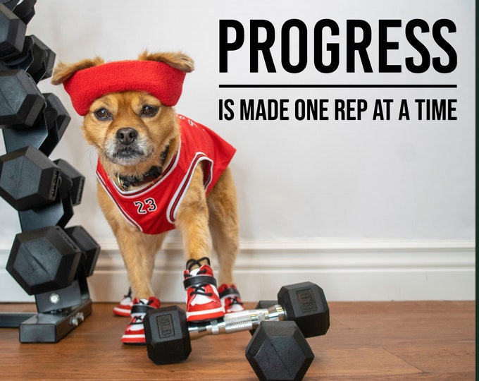 Small Progress is Still Progress Gym Quote Wall Decal Art Sticker Vinyl ...