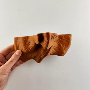 Tree Root Wall Shelf | Organic 3D Printed Shelf | Nature Inspired ...