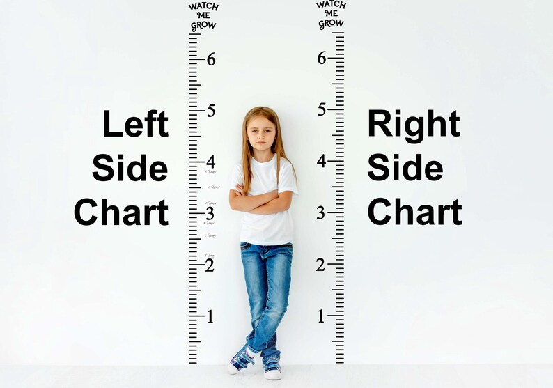 Vinyl Growth Chart Decal in Feet With 27 White Arrow Stickers – DIY ...