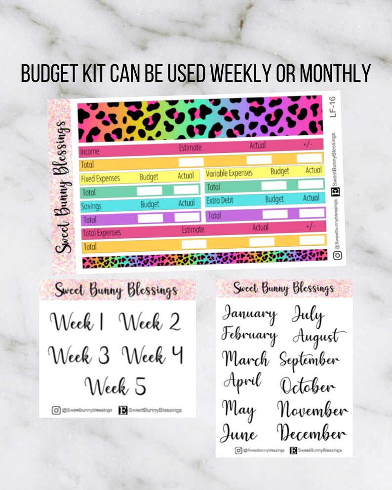 Lisa Frank Inspired Rainbow Leopard Budget Kit 7x9 Monthly - Etsy