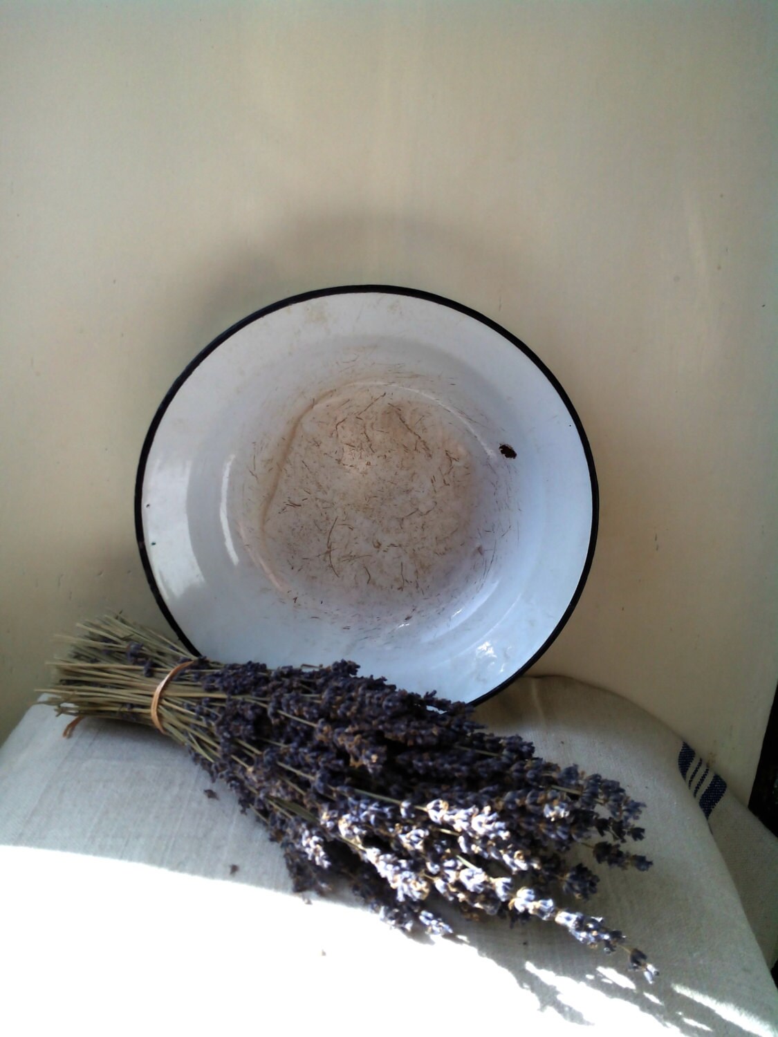 Kitchenalia Vintage Enamel Cream Plates Set of 2 - Etsy