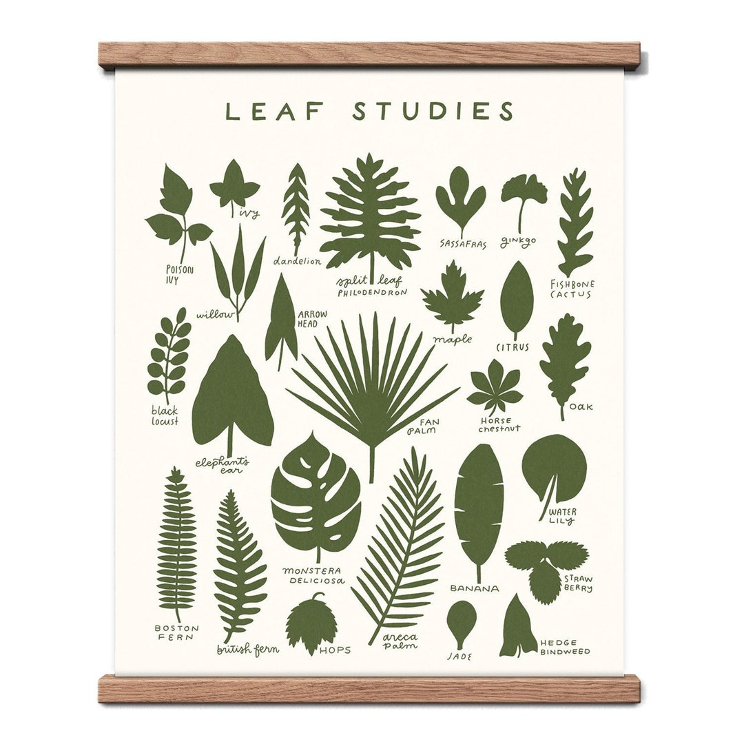 Leaf Studies 16 X 20 Screen Print - Etsy
