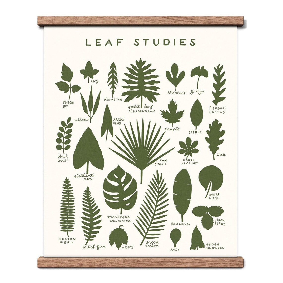 Leaf Studies 16 X 20 Screen Print - Etsy