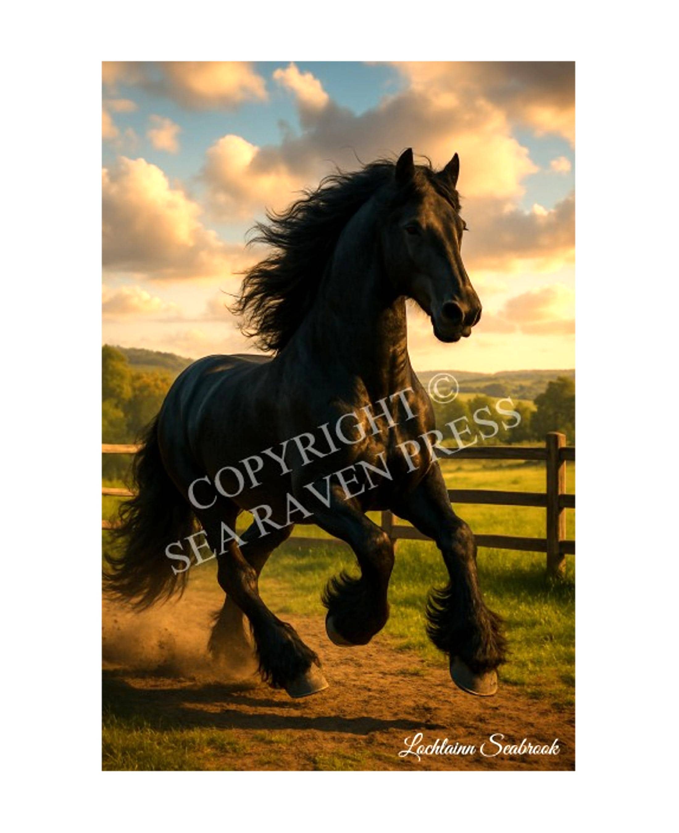 High Spirited Black Friesian Horse Poster 11x17 Wall Art Print ...