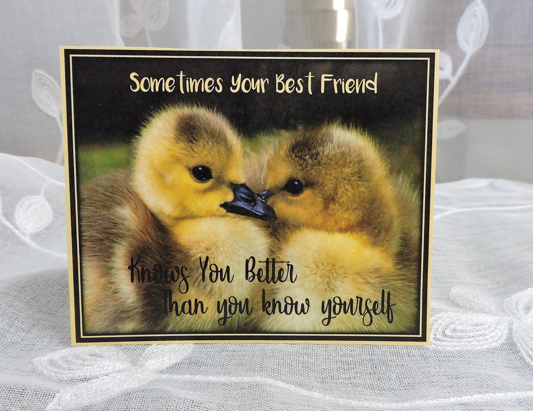 Best Friend Gift for Best Friend Magnet Baby Animals Decor Baby Chicks ...