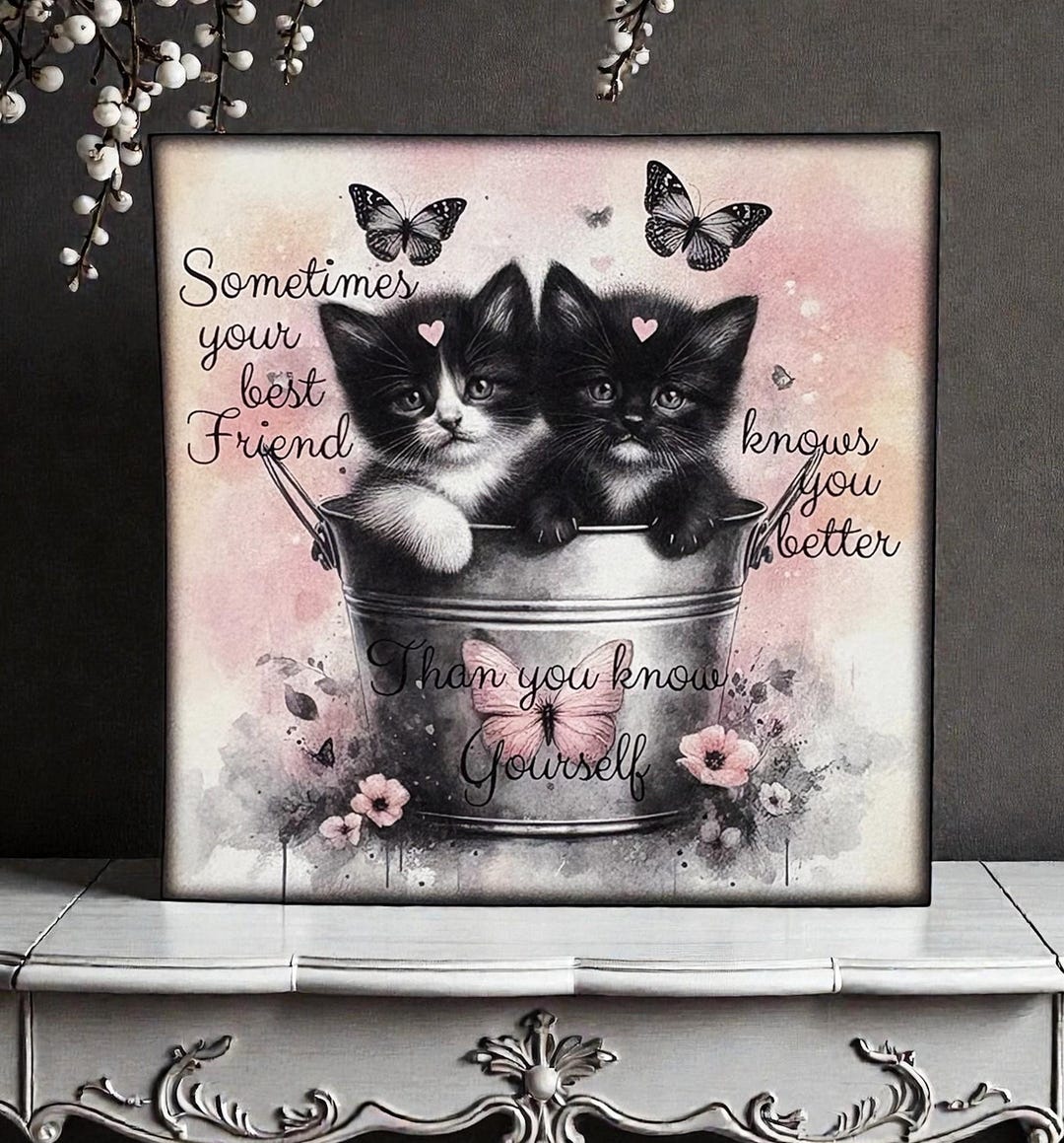 Gift for Best Friend Cute Kittens Best Friend Magnet Cute Best Friend ...