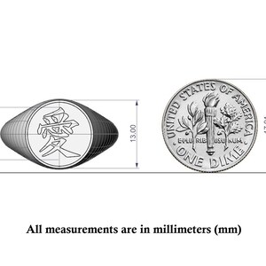 Chinese Symbol Silver Signet Ring, Multiple Symbols Available, Free ...