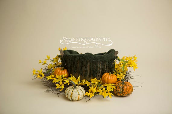 Instant Download Newborn Digital Backdrop. Digital Fall | Etsy