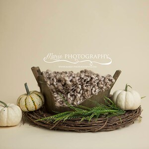 Instant Download Newborn Digital Backdrop. Digital Fall Backdrop ...