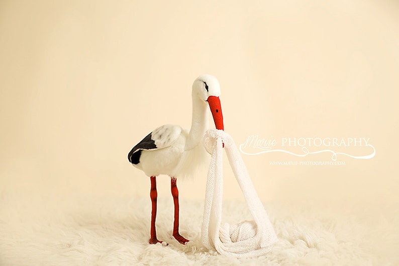 Instant Download newborn backdrop Stork with baby wrap So | Etsy