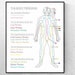 The Body Meridians Printable Poster Acupuncture Chart the 12 Meridians ...