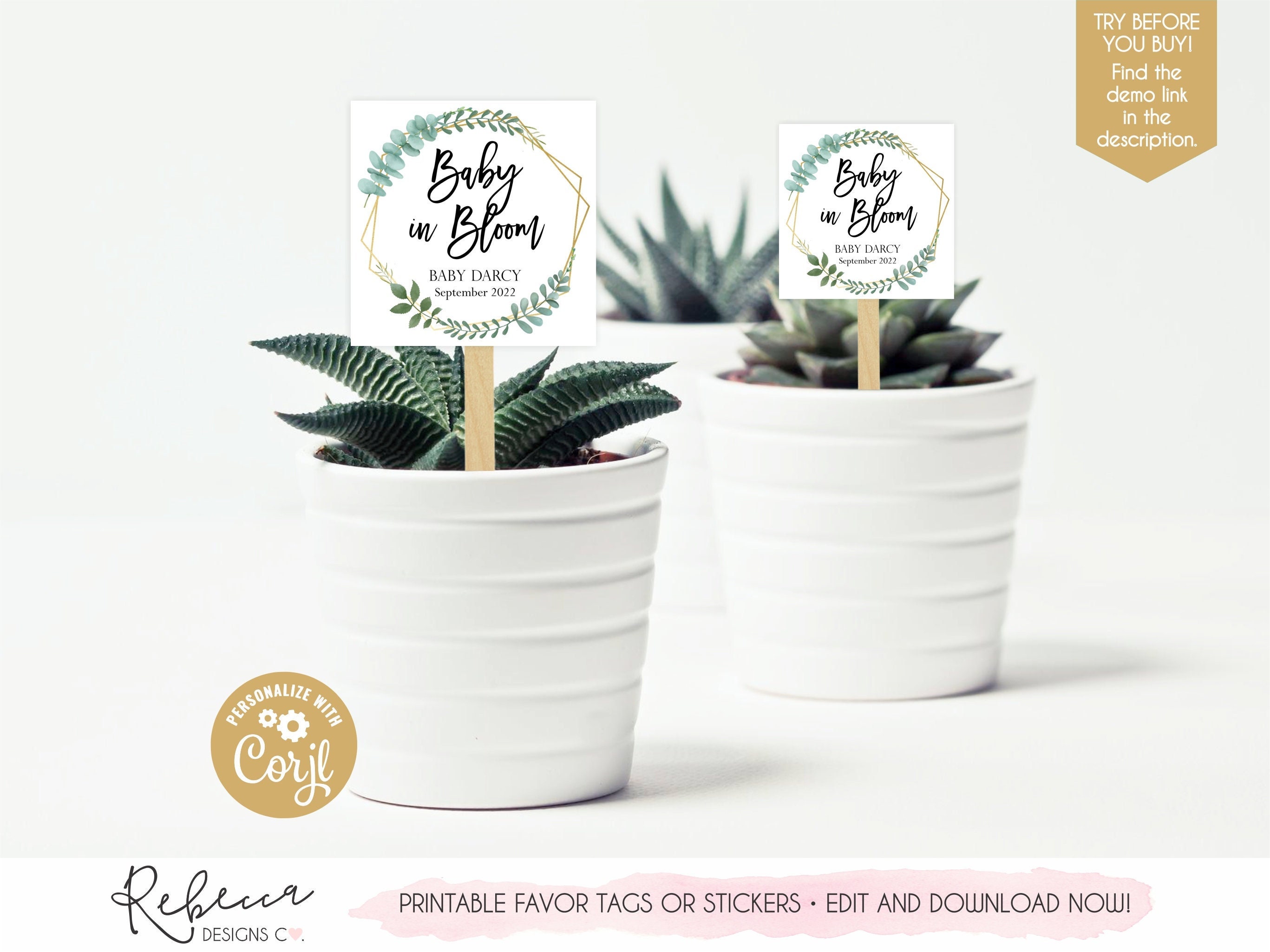 Baby in Bloom Favor Tags Watch Me Grow Tags Succulent Favor - Etsy