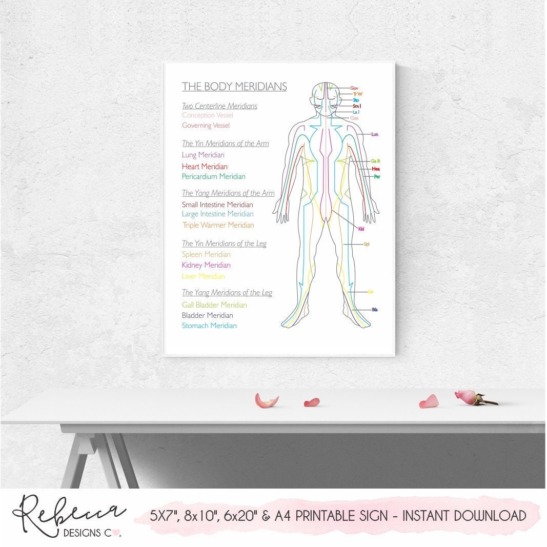 The Body Meridians Printable Poster Acupuncture Chart the 12 Meridians ...