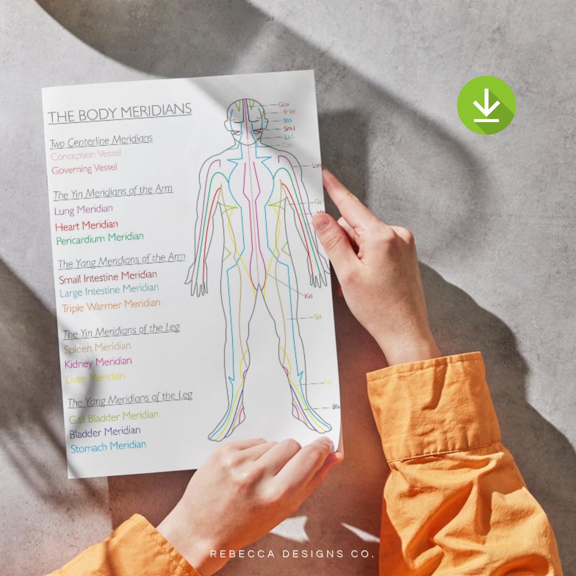 The Body Meridians Printable Poster Acupuncture Chart the 12 Meridians ...