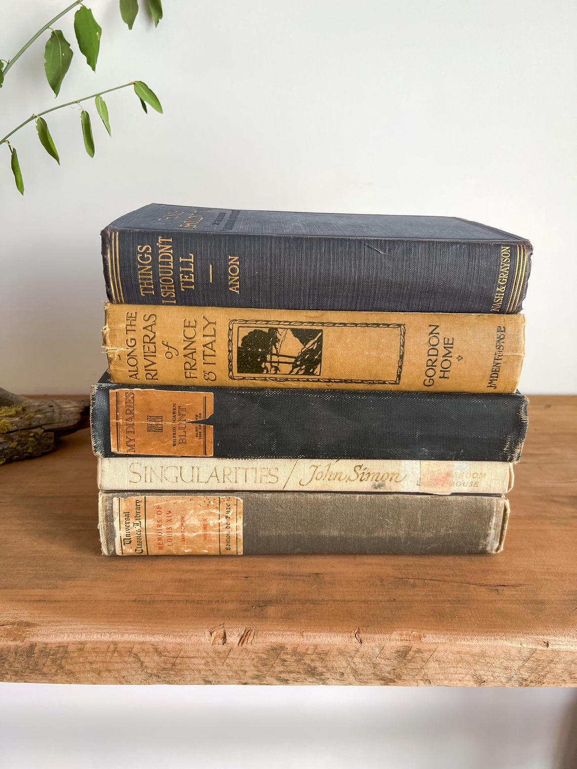 Vintage Book Collection, Antique Book Set Timeless Classics, Rare ...