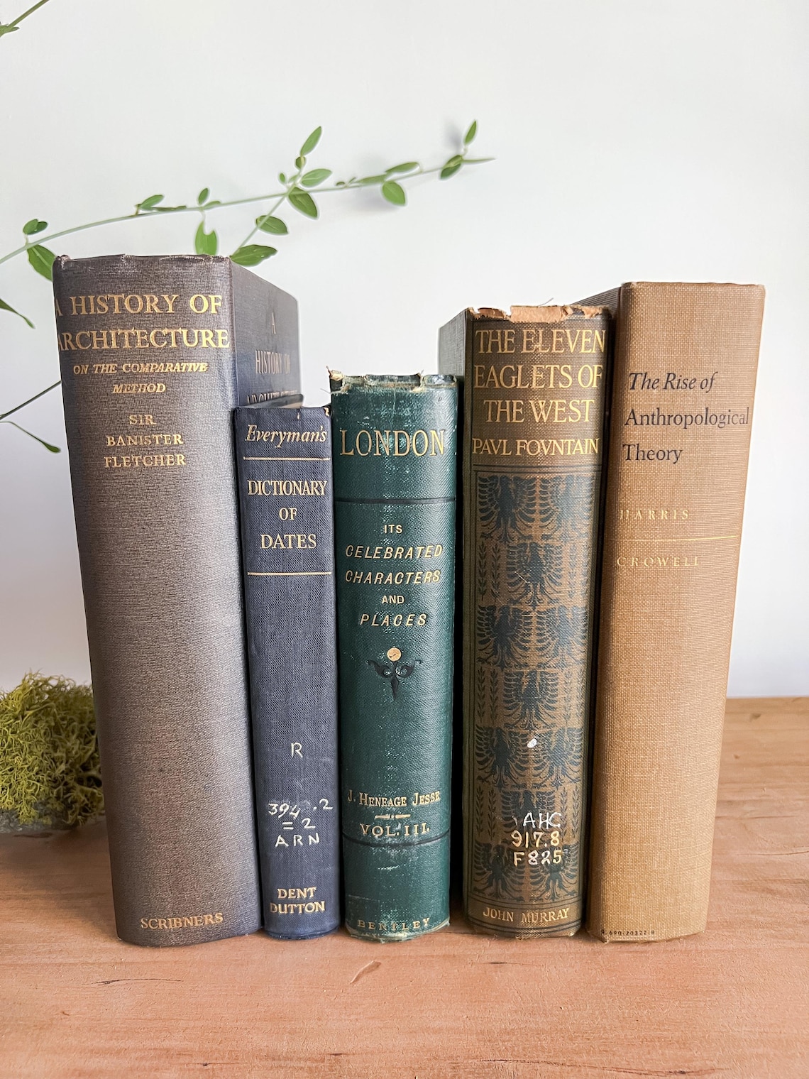Vintage Book Collection, Antique Book Set- Timeless Classics, Rare ...