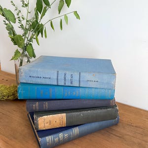 Vintage Blue Books, Antique Book Set- Timeless Classics, Rare ...