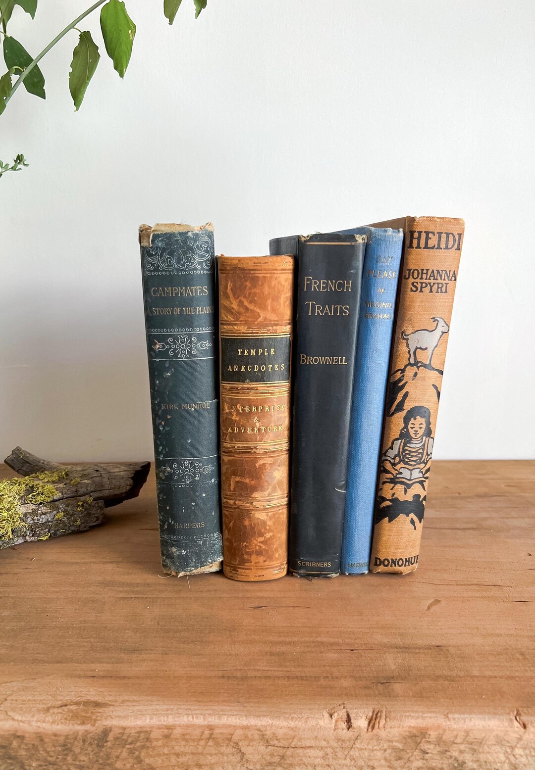 Vintage Blue and Brown Book Collection, Antique Book Set- Timeless ...