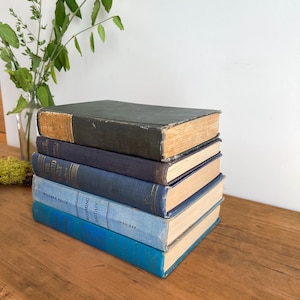 Vintage Blue Books, Antique Book Set- Timeless Classics, Rare ...