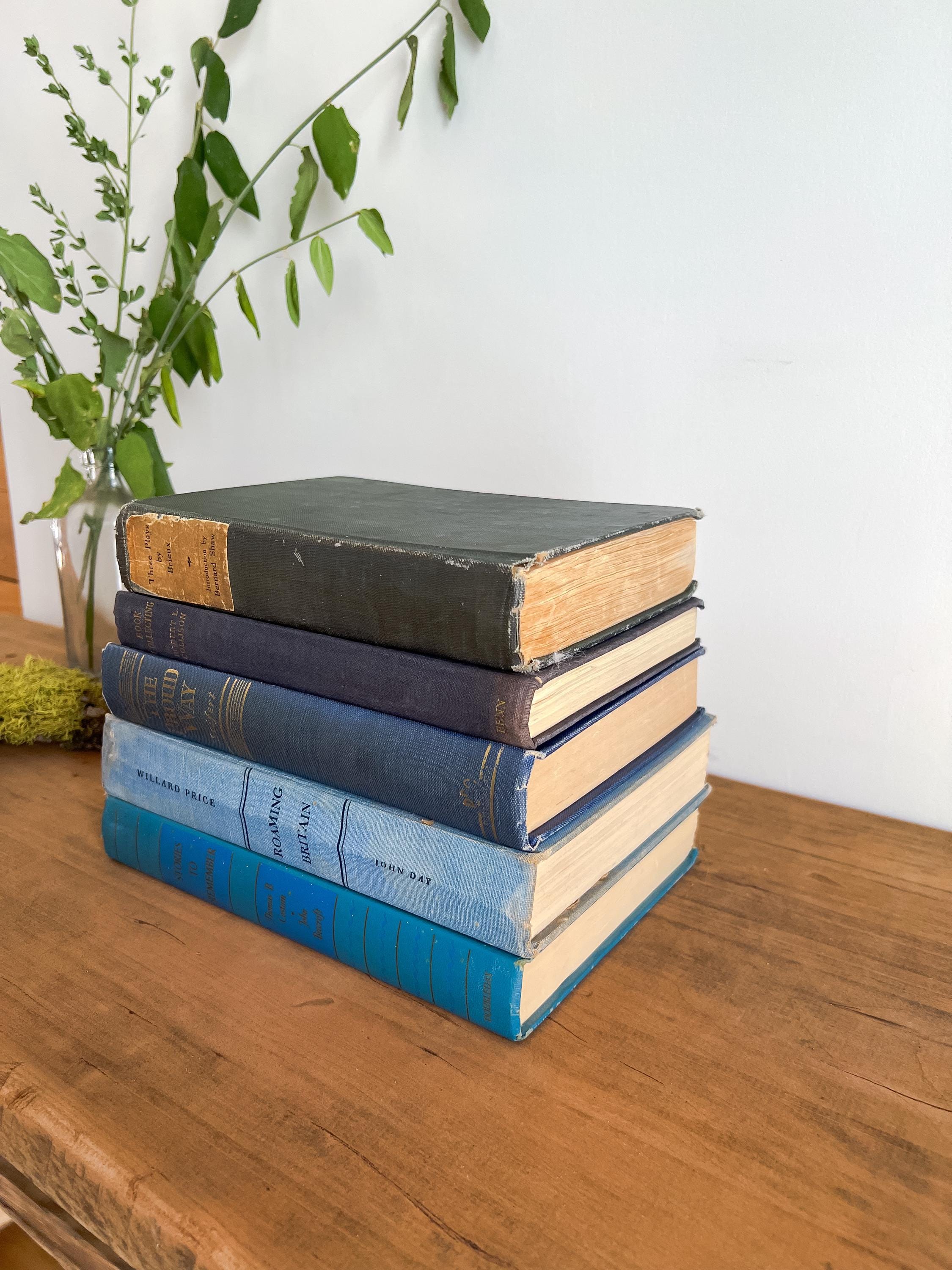 Vintage Blue Books, Antique Book Set- Timeless Classics, Rare ...