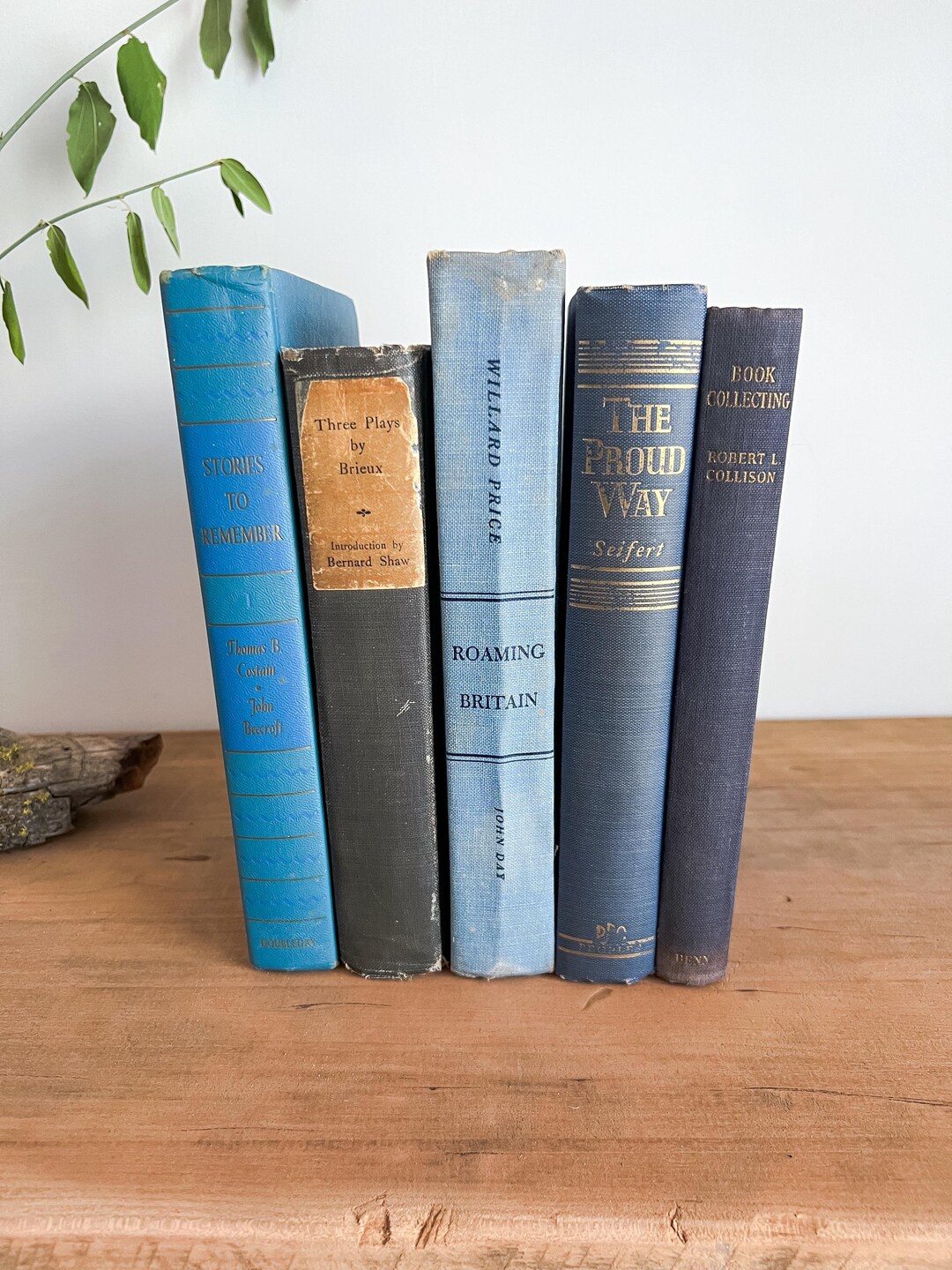 Vintage Blue Books, Antique Book Set- Timeless Classics, Rare ...