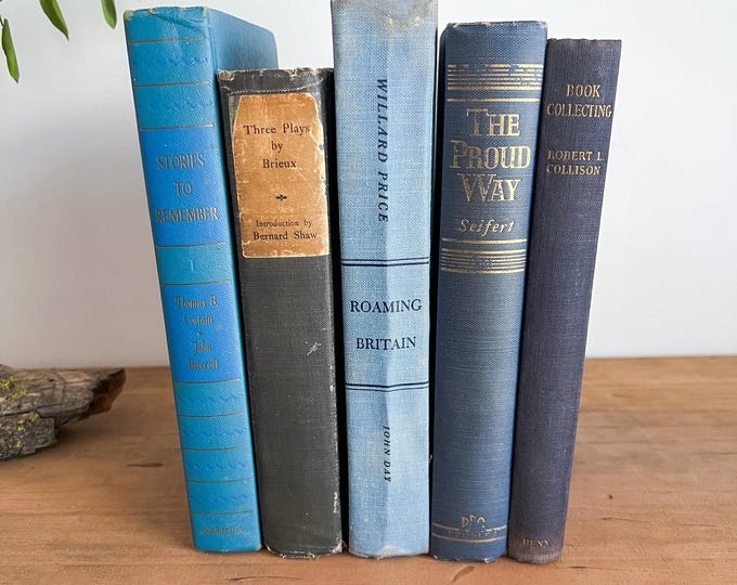 Vintage Blue Books, Antique Book Set- Timeless Classics, Rare ...