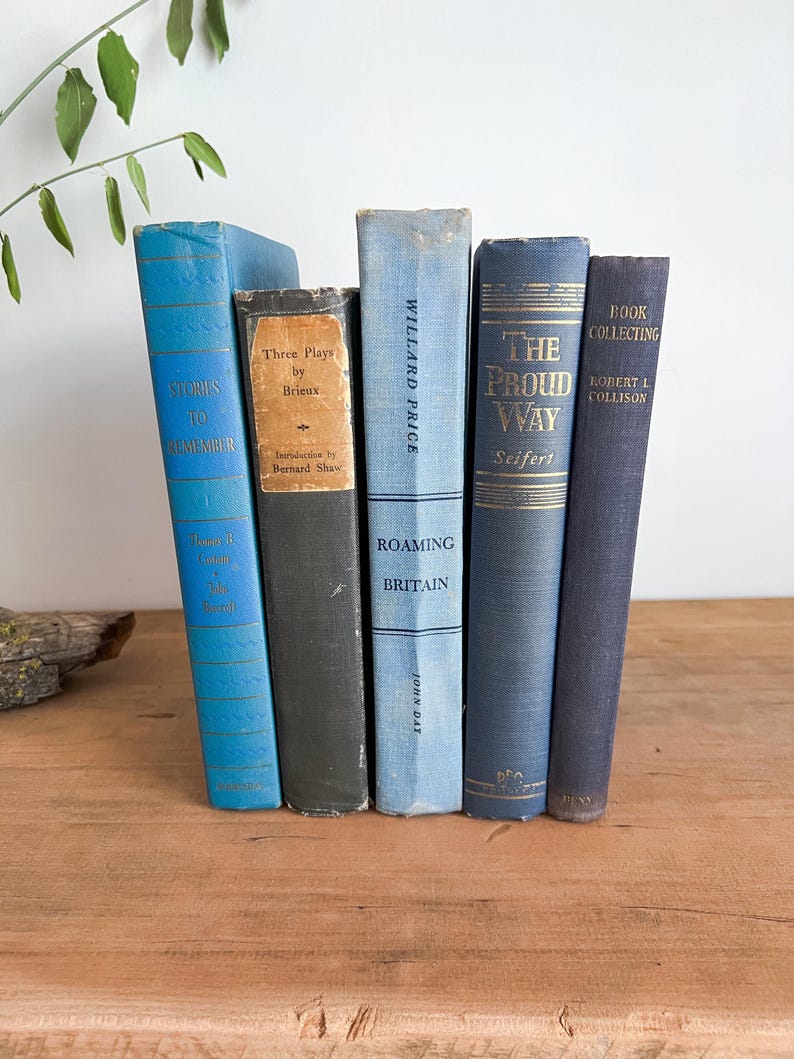 Vintage Blue Books, Antique Book Set- Timeless Classics, Rare ...