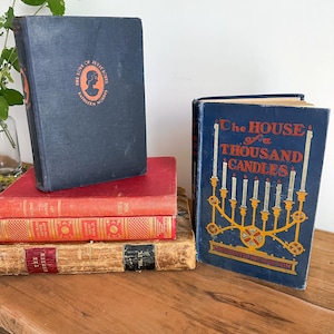 Vintage Blue and Red Book Collection, Antique Book Set- Timeless ...