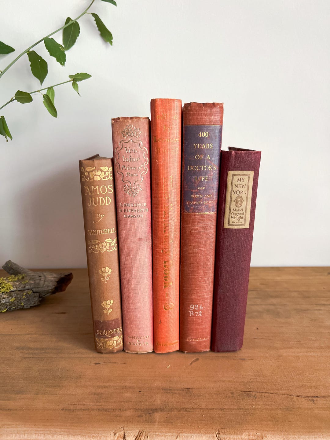 Vintage Blush and Coral Books, Antique Book Set- Timeless Classics ...
