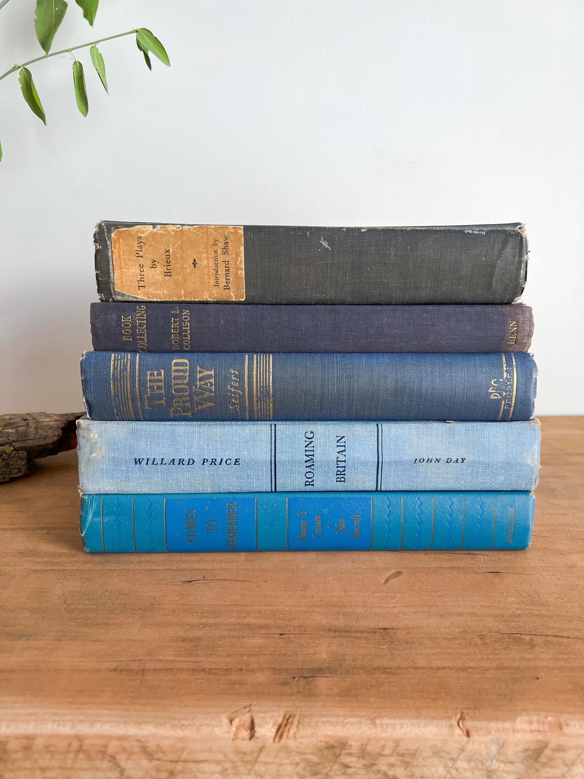 Vintage Blue Books, Antique Book Set- Timeless Classics, Rare ...
