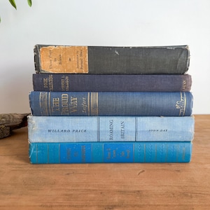 Vintage Blue Books, Antique Book Set- Timeless Classics, Rare ...